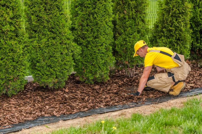 Brush Chipping | Wood Chipping Services | Small Tree Brush Removal