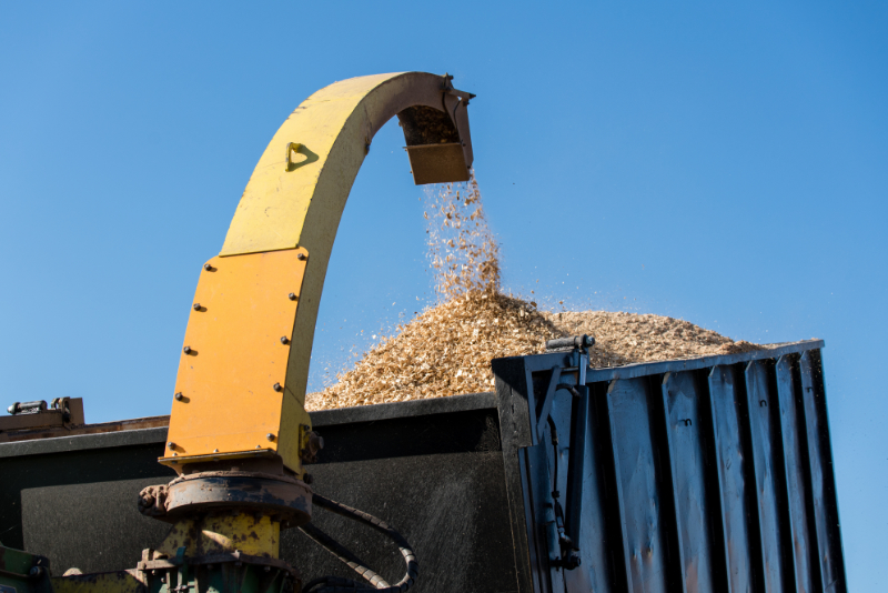 Brush Chipping | Wood Chipping Services | Small Tree Brush Removal